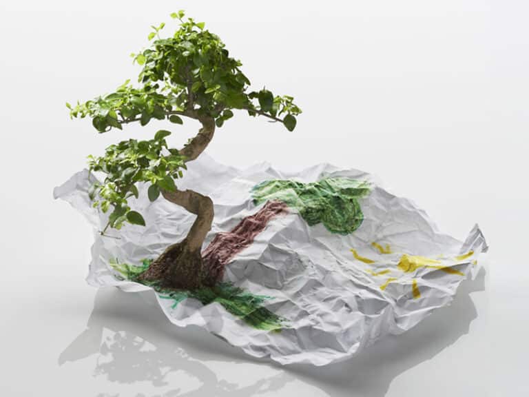 The 7 Stages of Process • Counselling Tutor