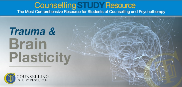 Brain Plasticity and Trauma • Counselling Tutor