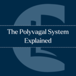 The Polyvagal System Explained: A Guide for Counsellors and ...