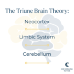 Overview of Brain Function: Key Insights for Trauma-Informed Practice ...