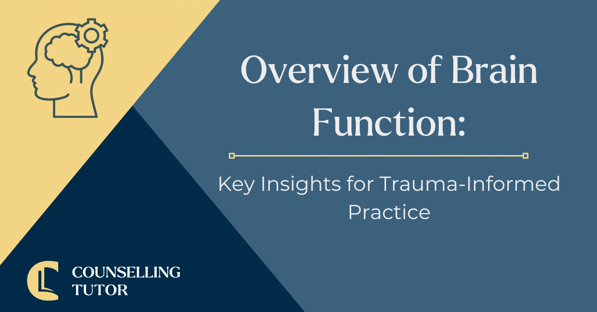 Overview of Brain Function: Key Insights for Trauma-Informed Practice ...
